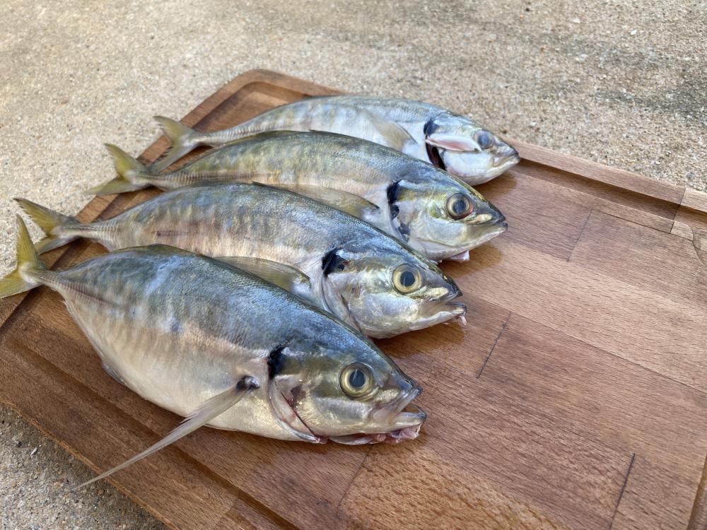 Shop By Category :: Seafood :: Selar Fish (1KG)