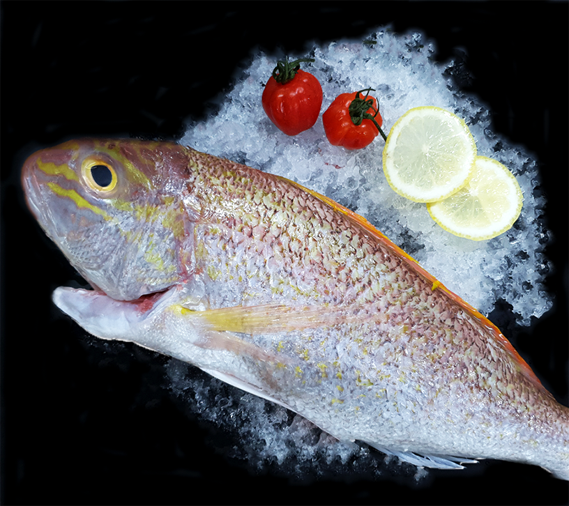 Shop By Category :: Seafood :: Sea Bream (Whole) (800G-1KG)