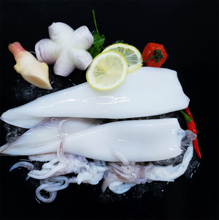 Shop By Category :: Seafood :: Sotong (500G)