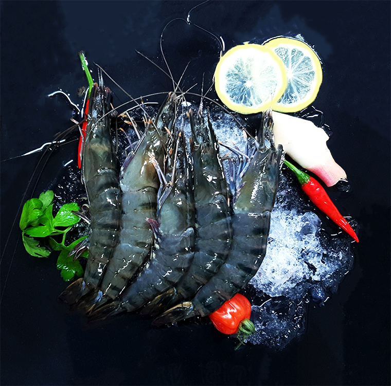Shop By Category :: Seafood :: Farmed Tiger Prawns (Medium) (500G)