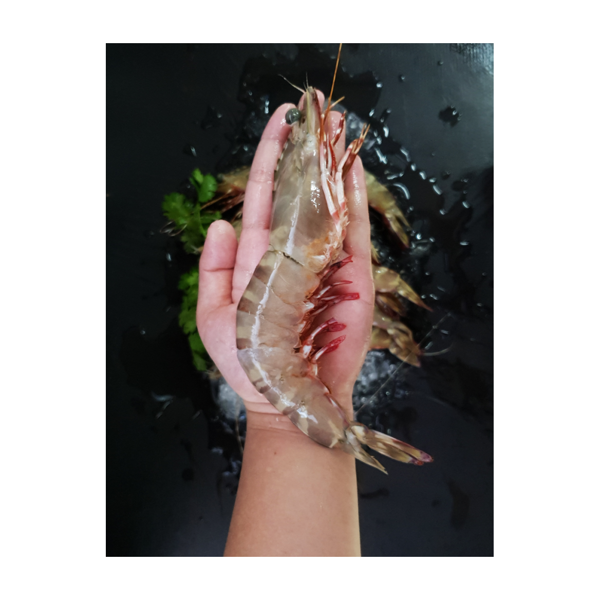 Shop By Category :: Seafood :: Ang Kar Prawns (500G)