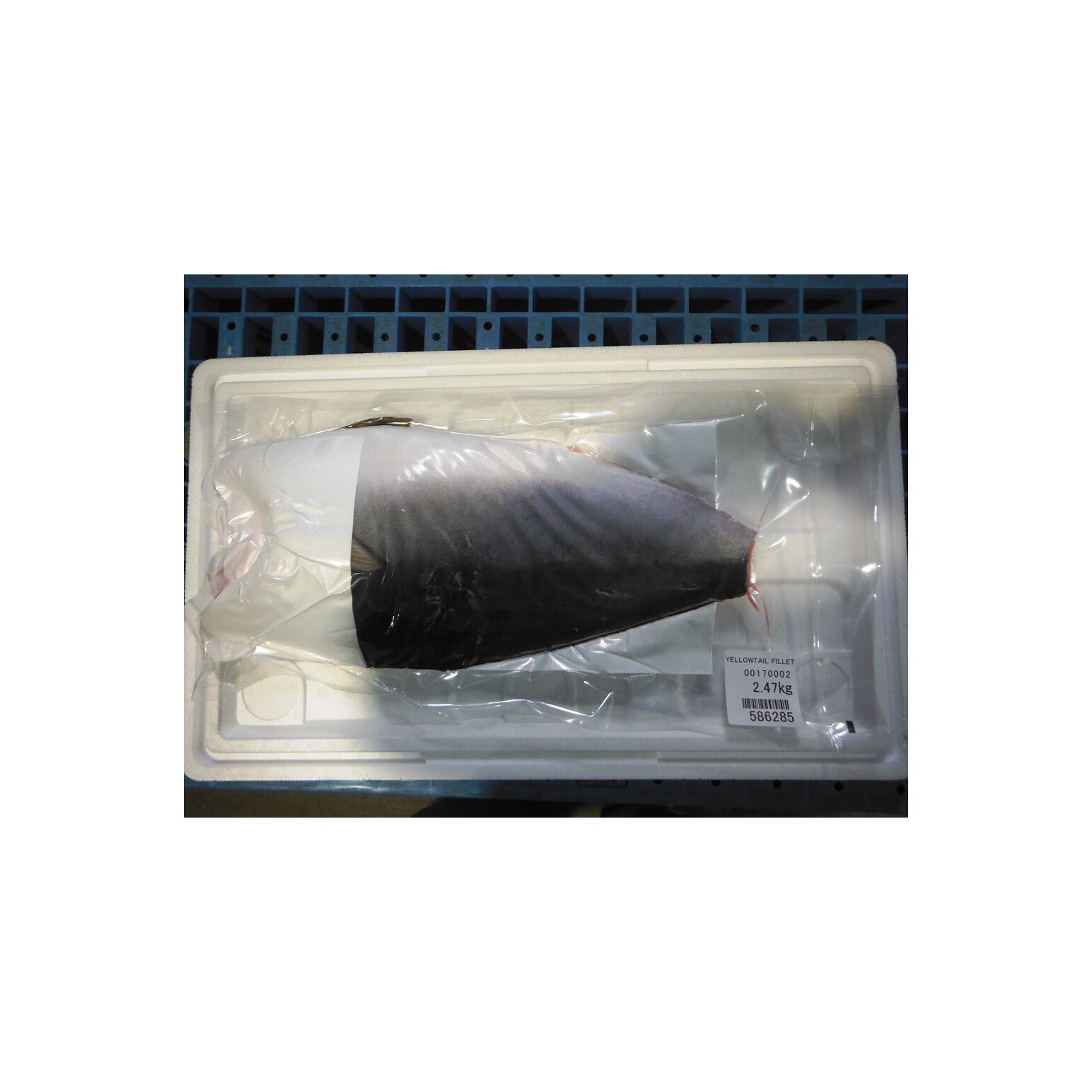 Shop By Category :: Seafood :: Frozen Yellowtail Fillet (13.4kg Carton)