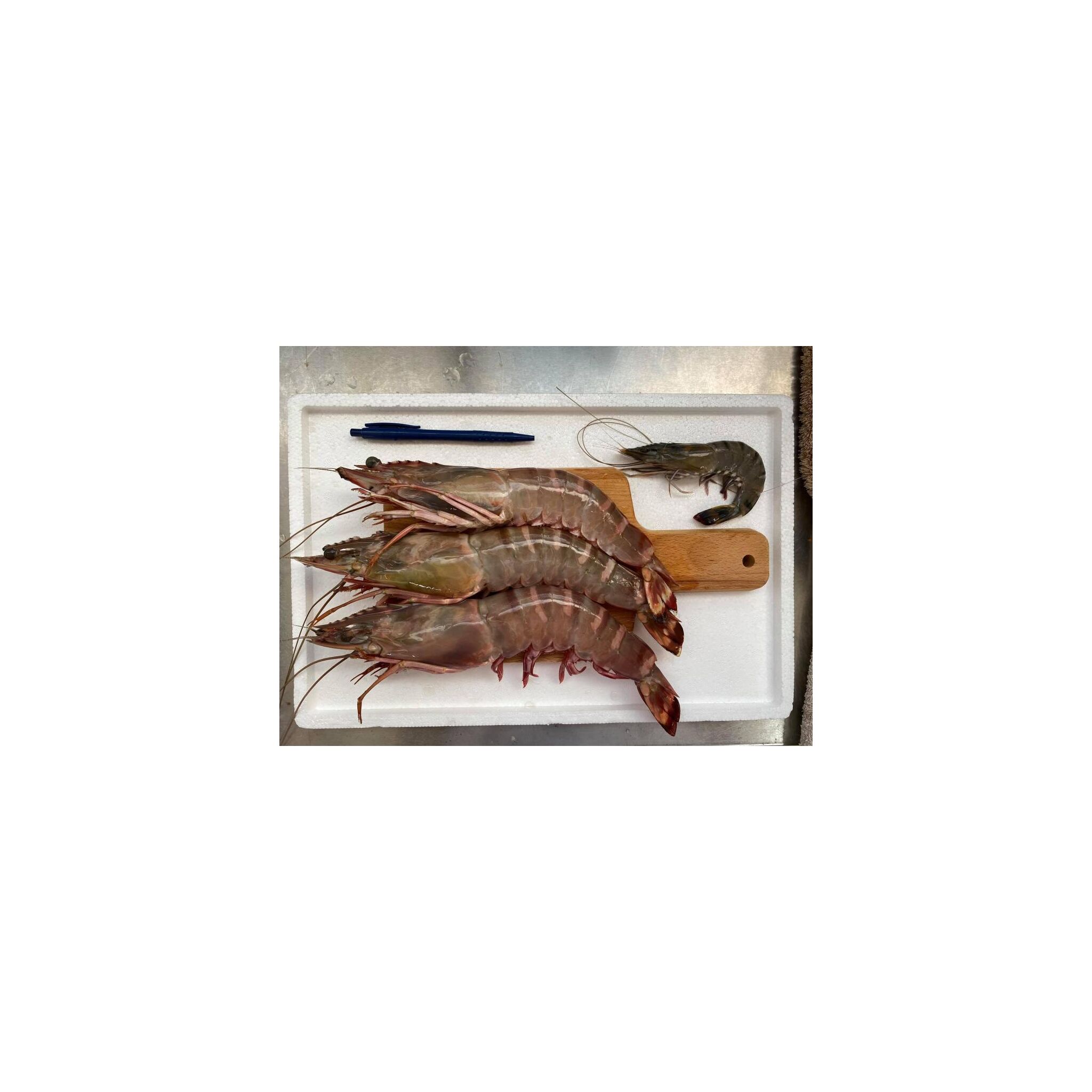 Shop By Category :: Seafood :: Jumbo Sea Prawns (1KG)