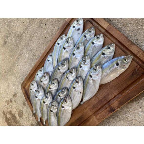 Shop By Category :: Seafood :: Kuning Fish (1KG)