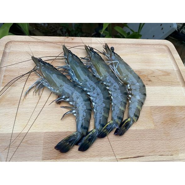 Shop By Category :: Seafood :: Farmed Tiger Prawns (Large) (1KG)